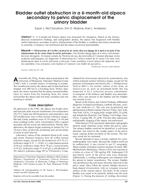 (PDF) Bladder outlet obstruction in a 6-month-old alpaca secondary to ...