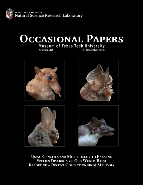 (PDF) Bats of Malaysia: Using Genetics and Morphology to Examine ...