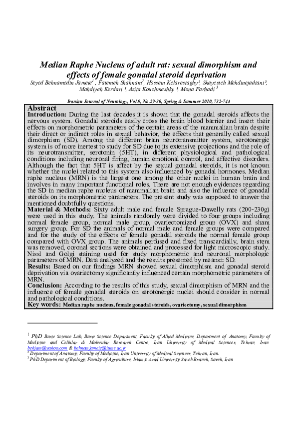 Pdf Median Raphe Nucleus Of Adult Rat Sexual Dimorphism And Effects