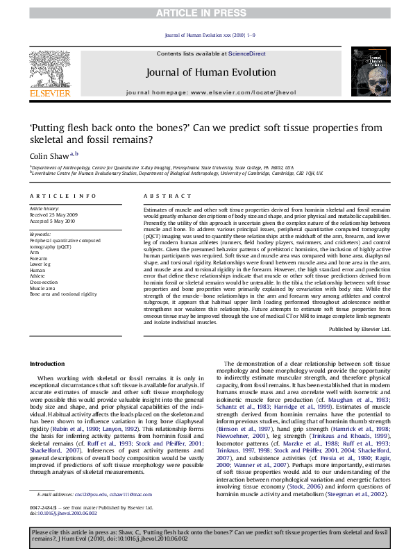 (PDF) ‘Putting flesh back onto the bones?’ Can we predict soft tissue ...