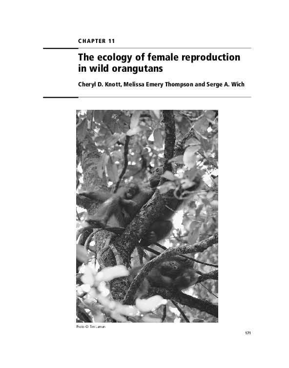 (PDF) The ecology of reproduction in wild orangutans.