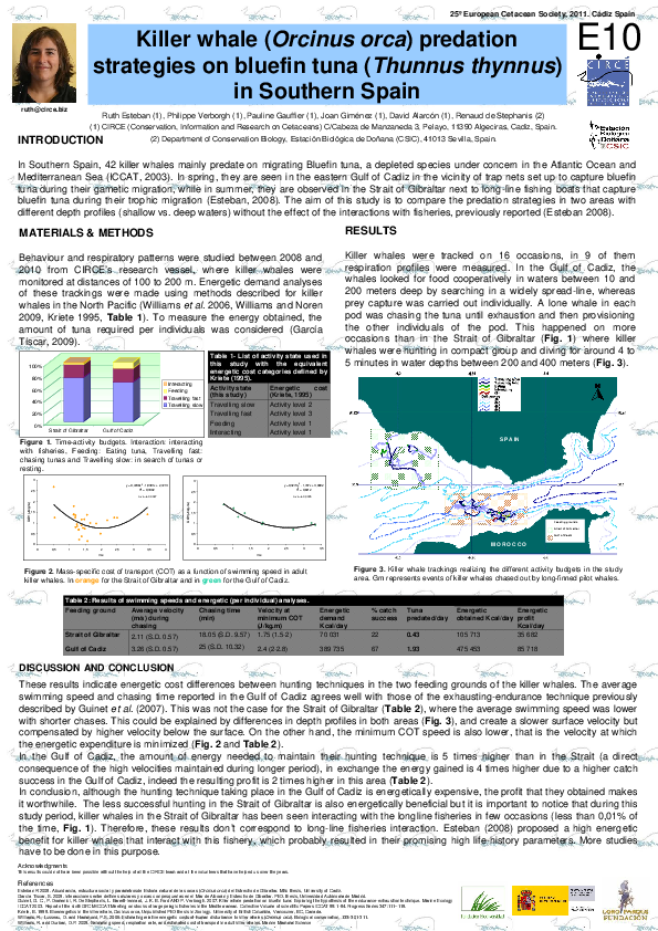 (PDF) Killer whale (Orcinus orca) predation strategies on bluefin tuna ...