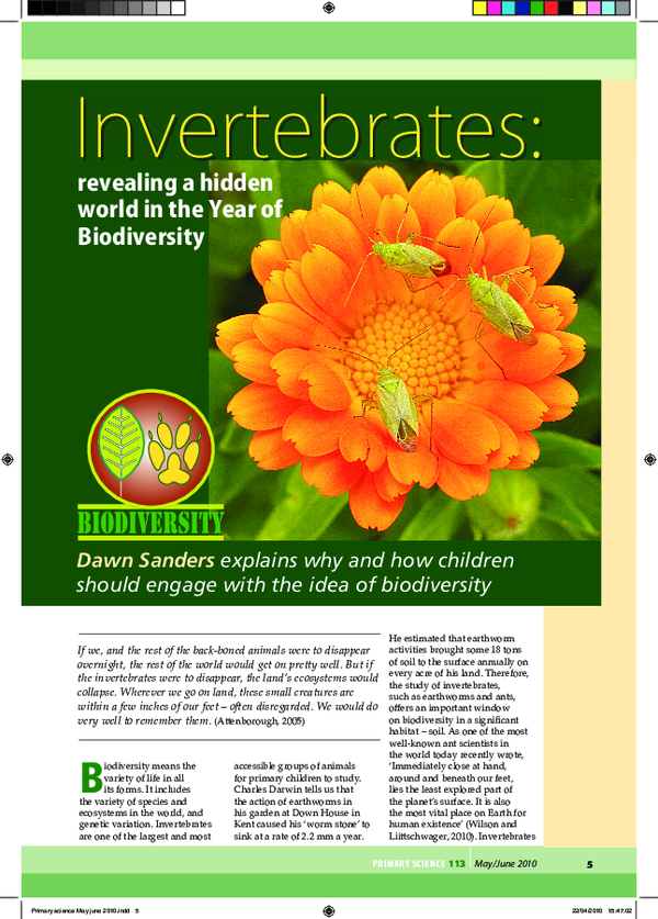 (PDF) Invertebrates: Revealing a hidden world in the year of biodiversity