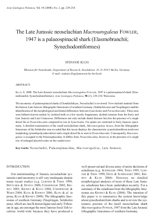 (PDF) The Late Jurassic neoselachian Macrourogaleus Fowler, 1947 is a ...