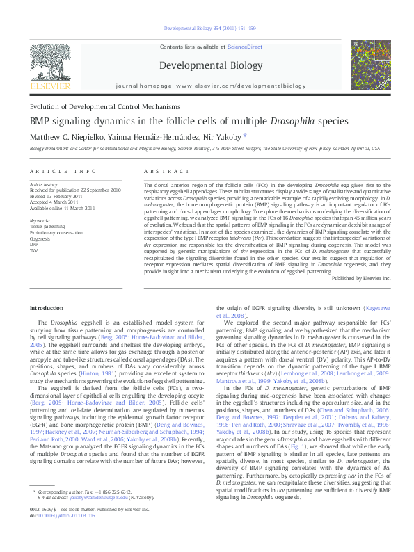 (PDF) BMP signaling dynamics in the follicle cells of multiple ...