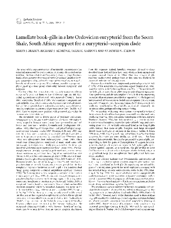 (PDF) Lamellate Book-Gills In a Late Ordovician Eurypterid From the ...