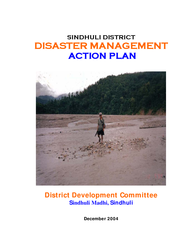 (PDF) DISASTER MANAGEMENT ACTION PLAN