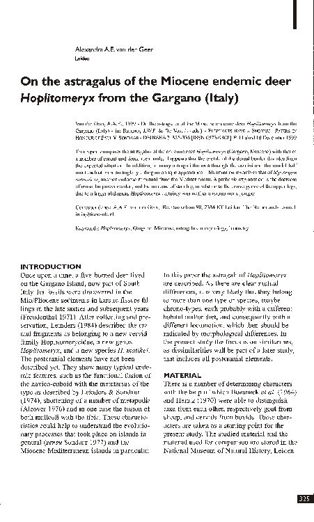 (PDF) On the astragalus of the Miocene endemic deer Hoplitomeryx from ...