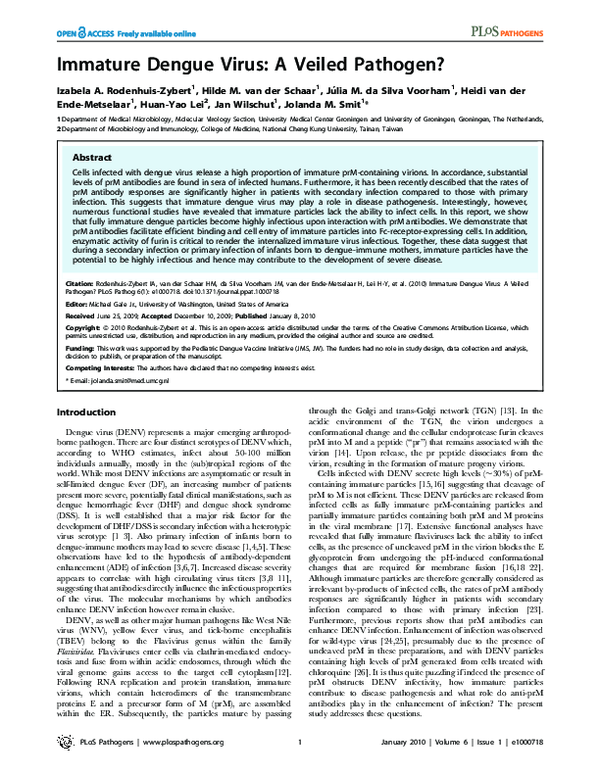 (PDF) Immature Dengue Virus: A Veiled Pathogen?