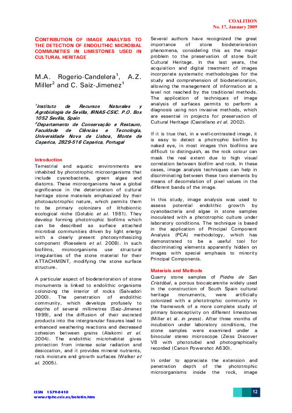 Pdf Contribution Of Image Analysis To The Detection Of Endolithic Microbial Communities In