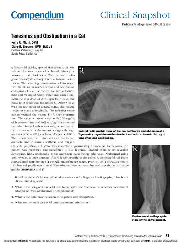 (PDF) Clinical snapshot : Tenesmus and Obstipation in a Cat