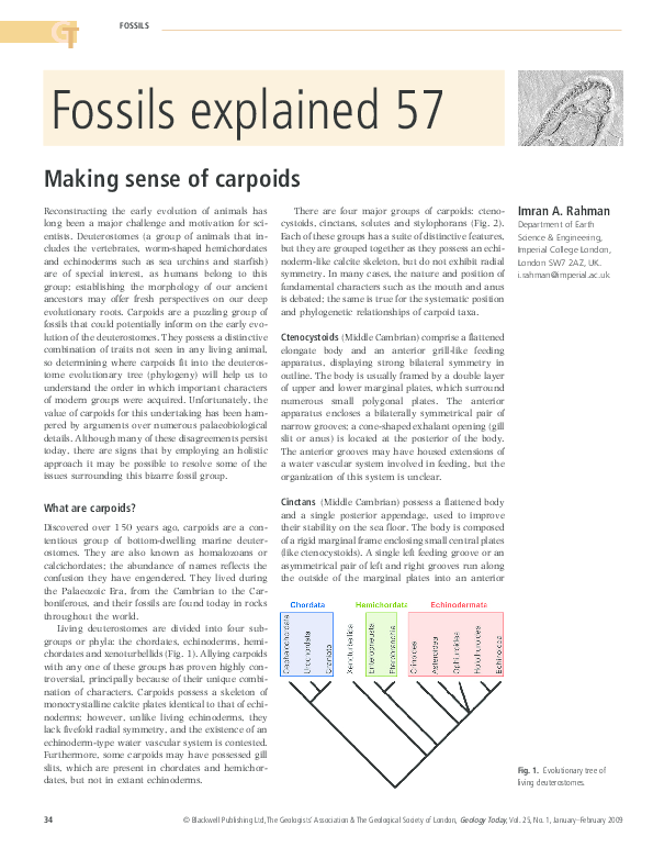 (PDF) Making sense of carpoids
