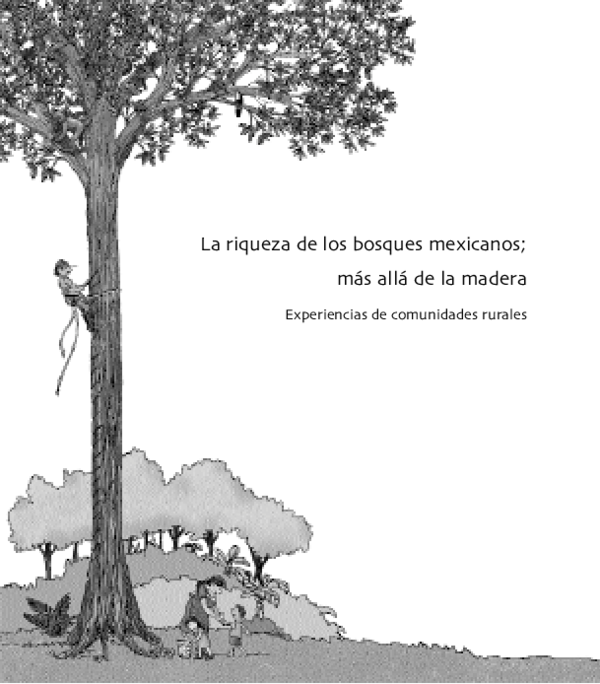 (PDF) 2005. Palma de guano: siglos de sombra, desde los mayas antiguos ...