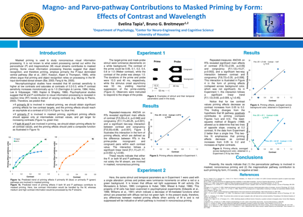 (PDF) Magno- and parvo-pathway contributions to masked priming by form ...