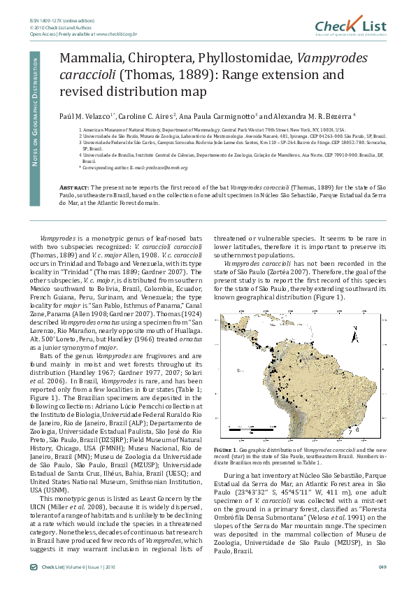 (PDF) Mammalia, Chiroptera, Phyllostomidae, Vampyrodes caraccioli ...