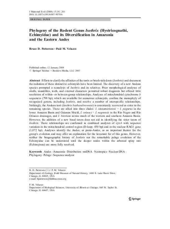 (PDF) Phylogeny of the rodent genus Isothrix (Hystricognathi ...