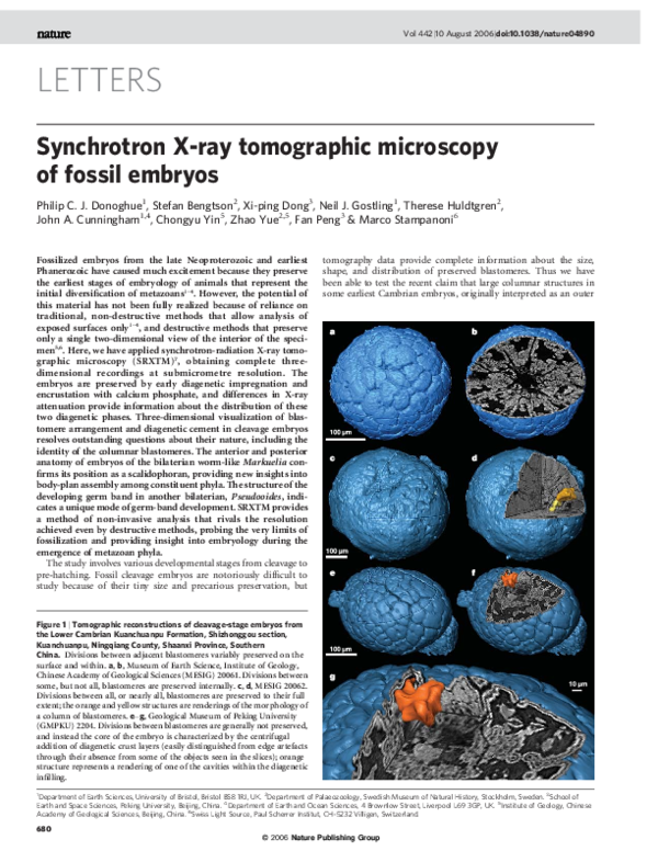 (PDF) Synchrotron X-ray tomographic microscopy of fossil embryos