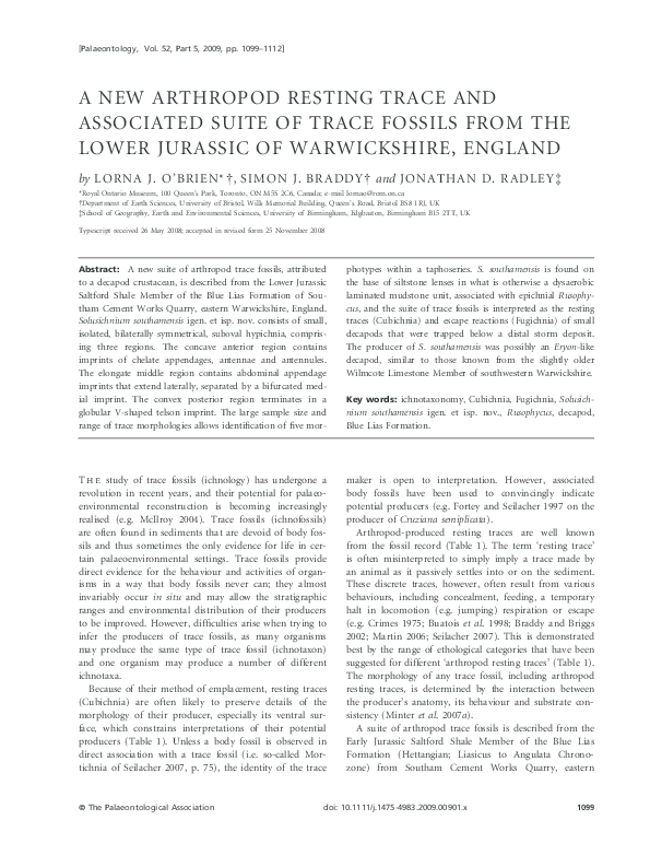 (PDF) A new arthropod resting trace and associated suite of trace ...