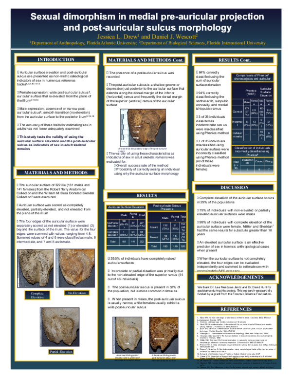 (PPT) Sexual dimorphism in auricular medial projection and ...