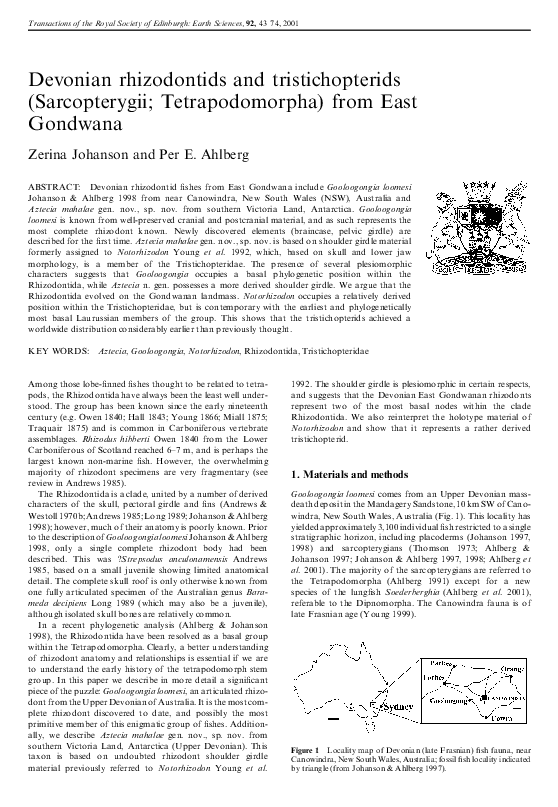 (PDF) Devonian Rhizodontids and Tristichopterids (Sarcopterygii ...