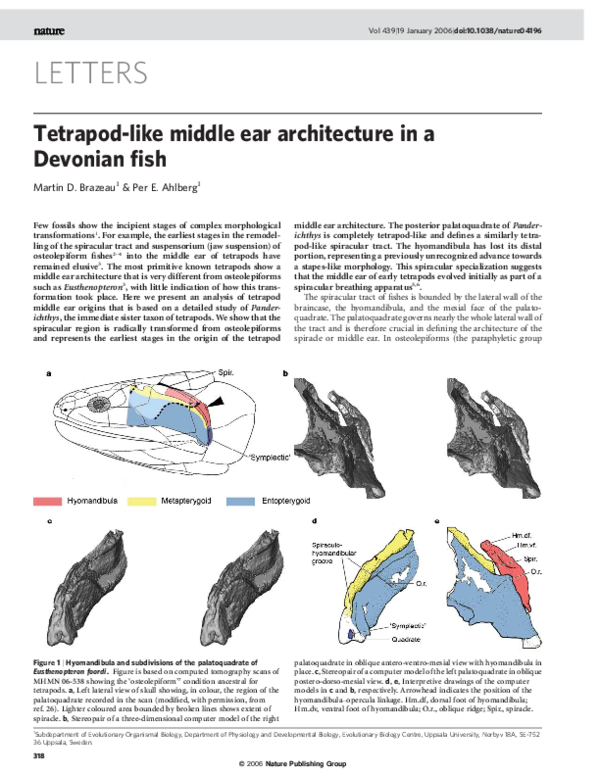 (PDF) Tetrapod-Like Middle Ear Architecture In a Devonian Fish
