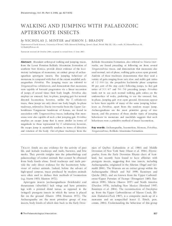 (PDF) Walking and jumping with Palaeozoic apterygote insects