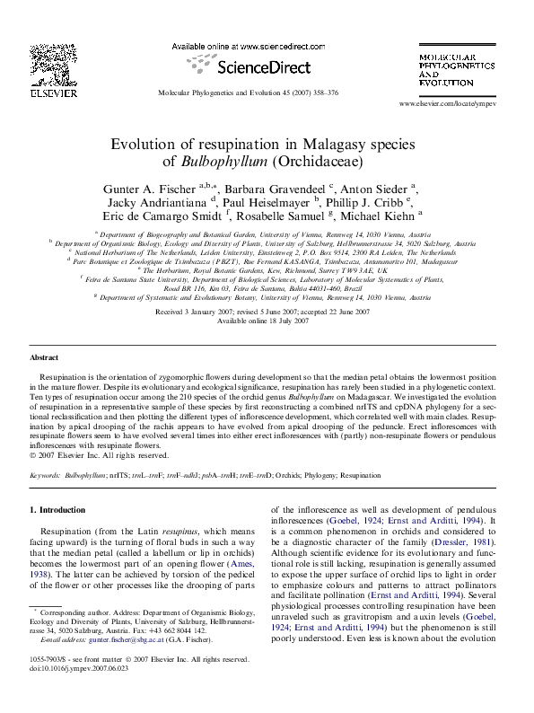 (PDF) Evolution of resupination in Malagasy species of Bulbophyllum ...