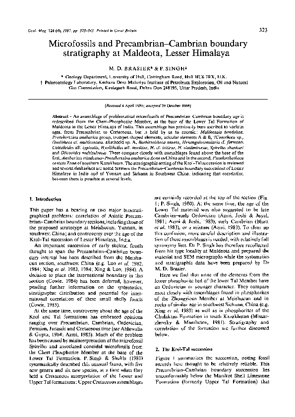 (PDF) Microfossils and Precambrian-Cambrian boundary stratigraphy at ...