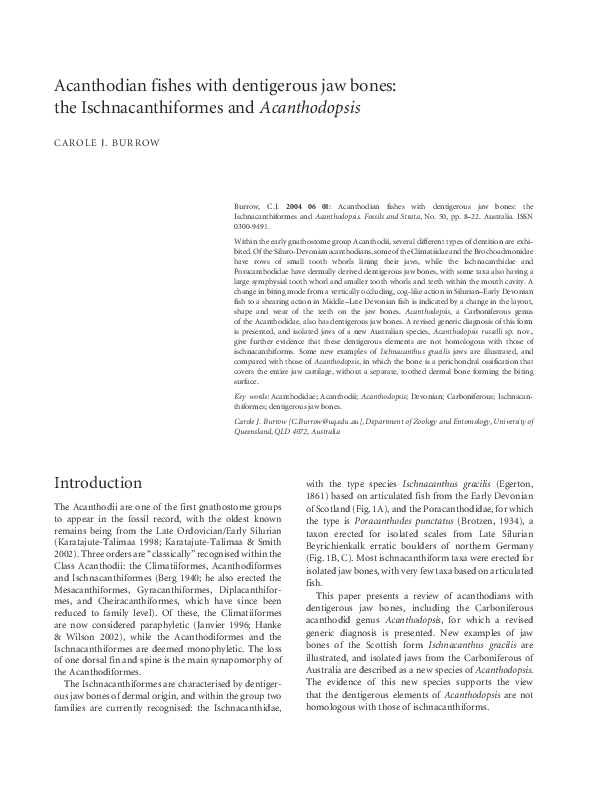 (PDF) Acanthodians with dentigerous jaws: the Ischnacanthiformes and ...