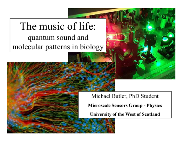 (PPT) The music of life: quantum sound and molecular patterns in ...