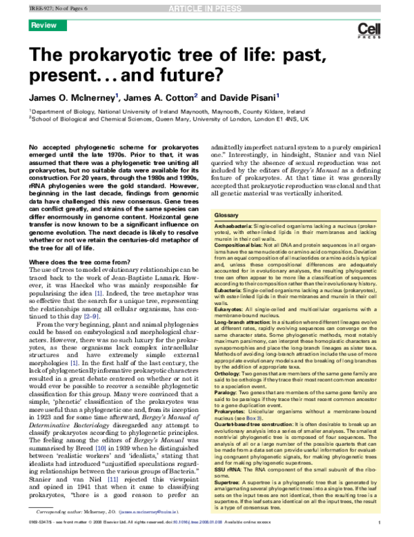 (PDF) The prokaryotic tree of life: past, present…and future?