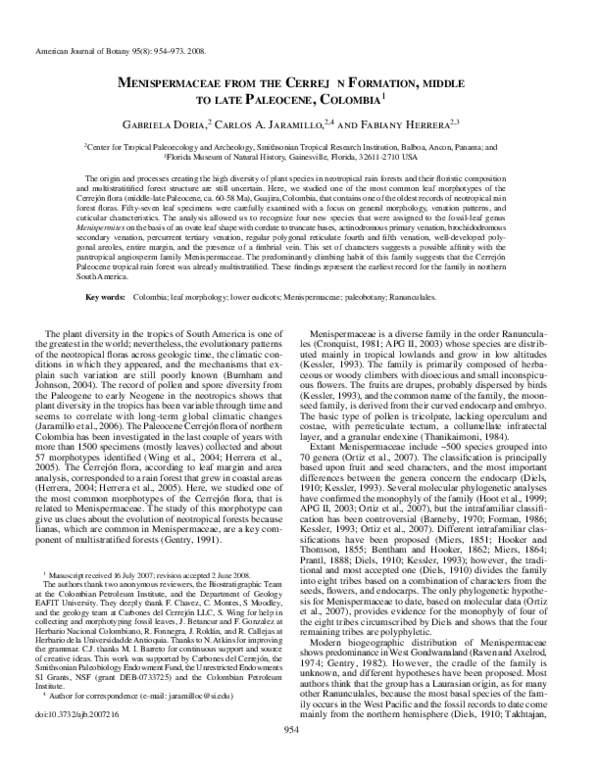 (PDF) Menispermaceae from the Cerrejón Formation, middle to late ...