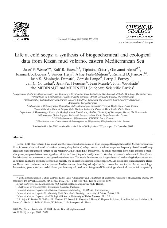 (PDF) Life at cold seeps: a synthesis of biogeochemical and ecological ...