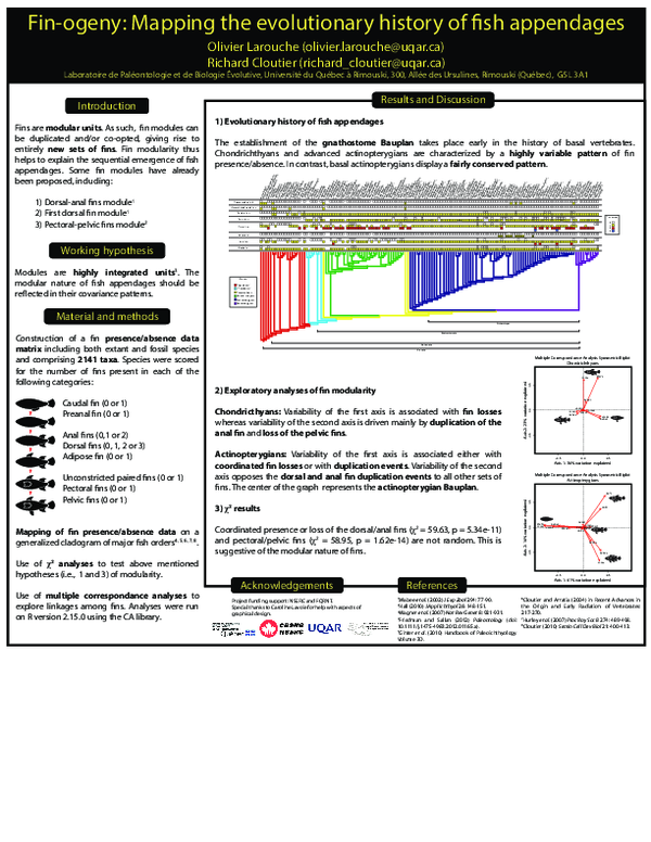 (PDF) Fin-ogeny: Mapping the evolutionary history of fish appendages ...