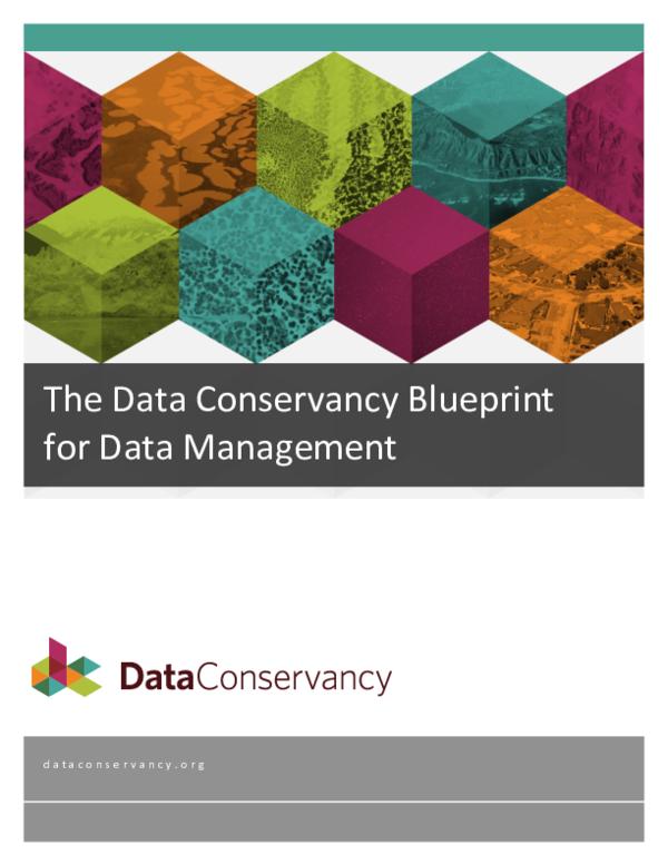 (PDF) The Data Conservancy: A Blueprint for Research Libraries in the ...