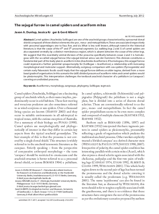 (PDF) The sejugal furrow in camel spiders and acariform mites