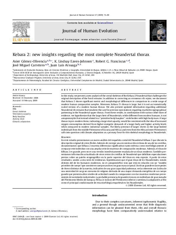 (PDF) Kebara 2: new insights regarding the most complete Neandertal thorax