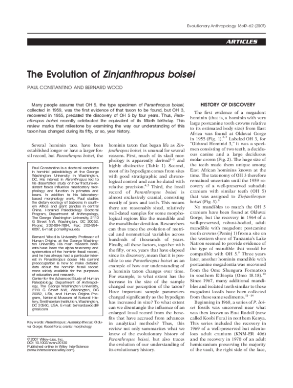 (PDF) The evolution of Zinjanthropus boisei