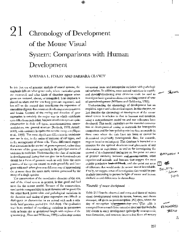 (PDF) Chronology of the development of the mouse visual system.