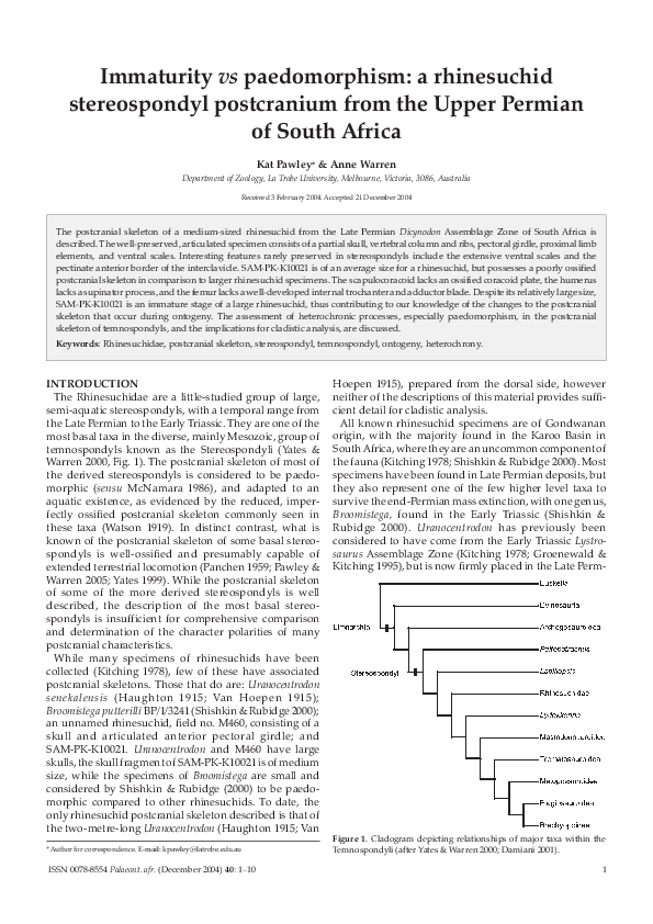 (PDF) Immaturity vs. paedomorphism: A rhinesuchid stereospondyl ...