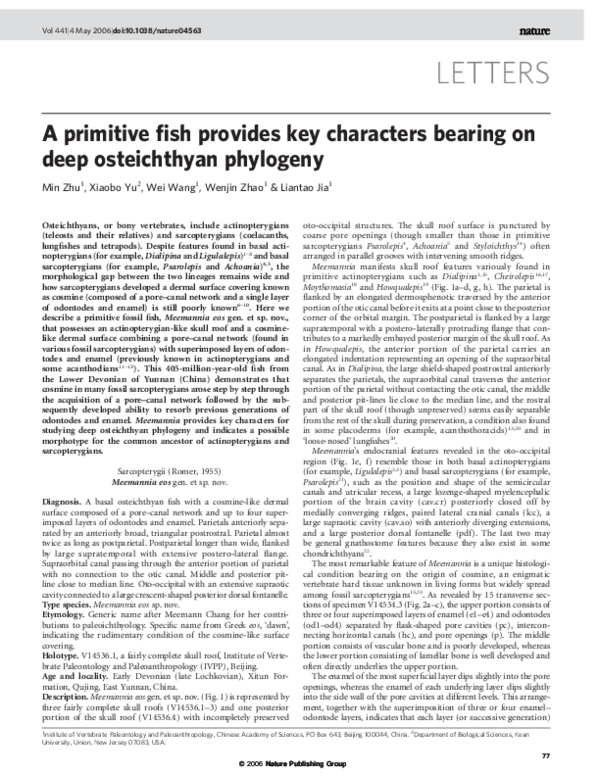 (PDF) A primitive fish provides key characters bearing on deep ...