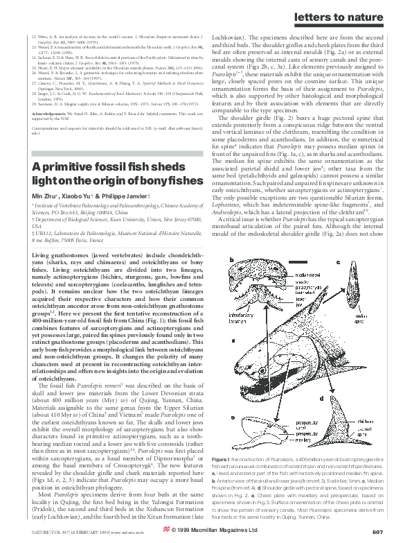 (PDF) A primitive fossil fish sheds light on the origin of bony fishes