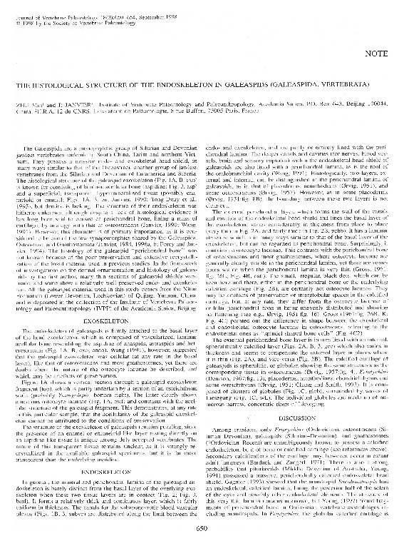 (PDF) The histological structure of the endoskeleton in galeaspids ...