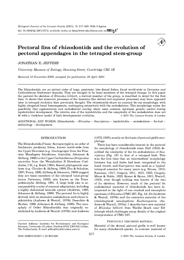 (PDF) Pectoral fins of rhizodontids and the evolution of pectoral ...