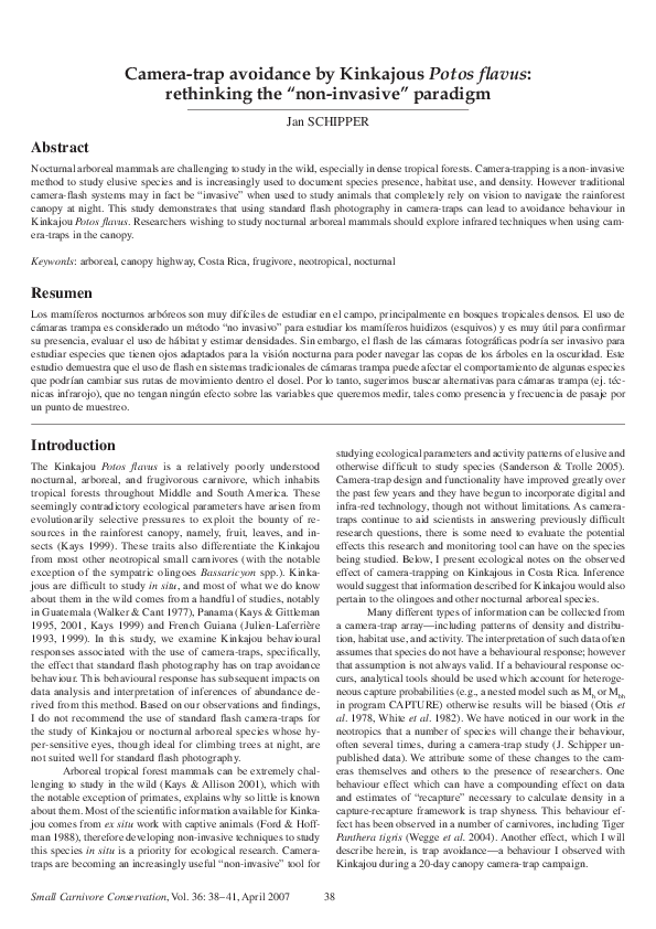 (PDF) Camera-trap avoidance by Kinkajous Potos flavus: rethinking the ...