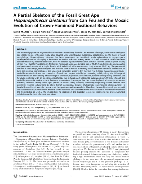 (PDF) A Partial Skeleton of the Fossil Great Ape Hispanopithecus ...