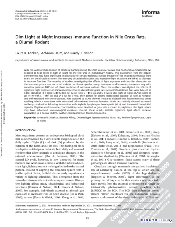 (PDF) Dim Lit At Night