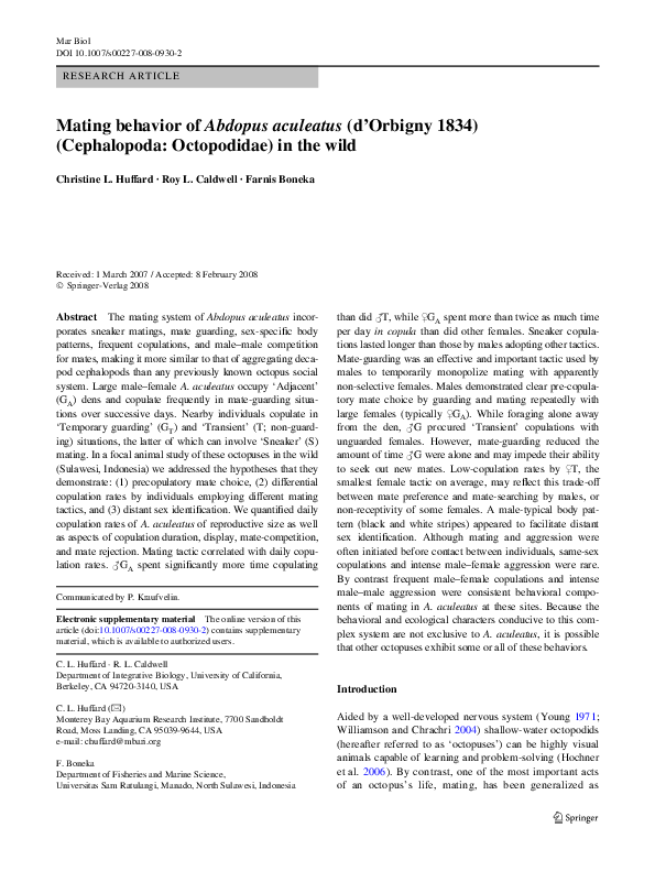 (PDF) Mating behavior of Abdopus aculeatus (d'Orbigny 1834)(Cephalopoda ...