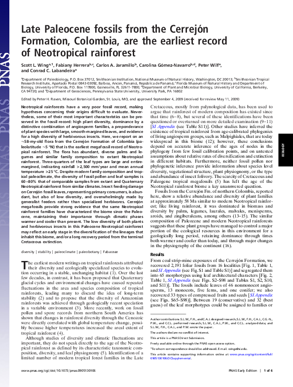 (PDF) Late Paleocene fossils from the Cerrejón Formation, Colombia, are ...