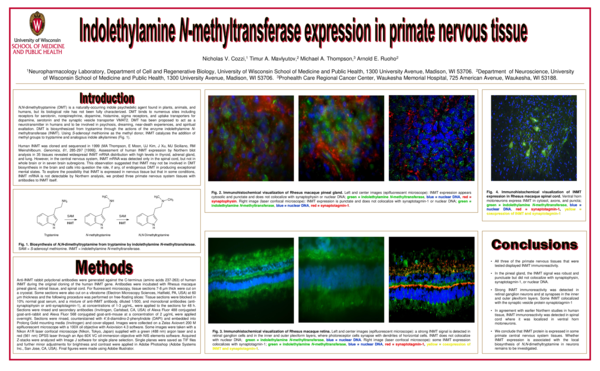 (PDF) Indolethylamine N-methyltransferase expression in primate nervous ...